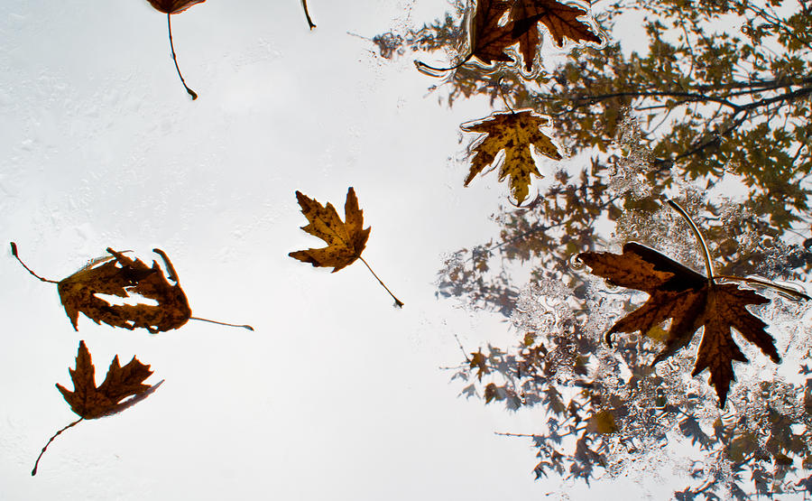 Fall Photograph by Matthew Trudeau - Fine Art America