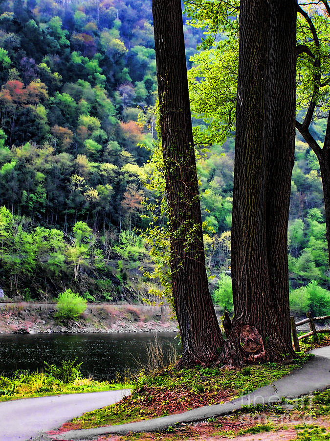 Fall Path Photograph by Anne Ferguson - Fine Art America
