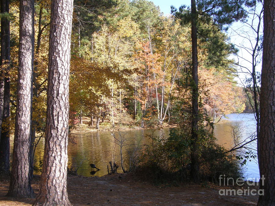 Fall Reflectons Photograph by Tom Branson - Fine Art America