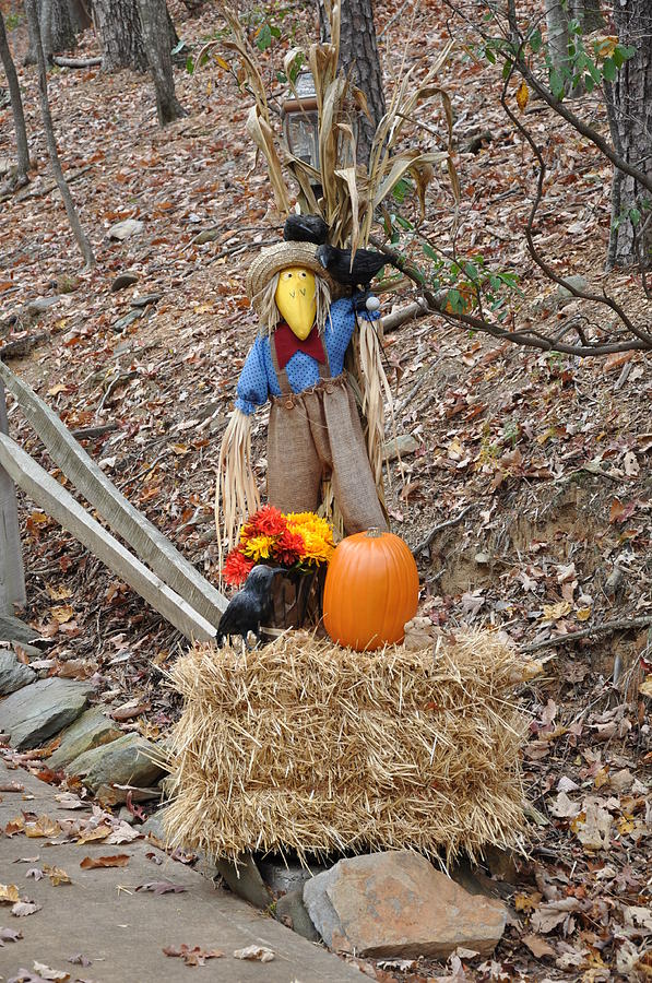 Fall Scarecrow Photograph by David Dittmann - Fine Art America