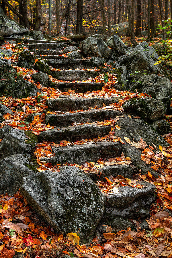 Fall Steps Photograph by Dan Carmichael - Fine Art America