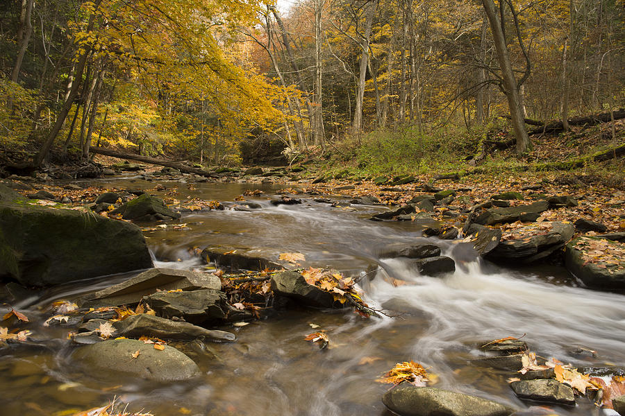 Fall Stream Photograph by Jason Macko - Fine Art America