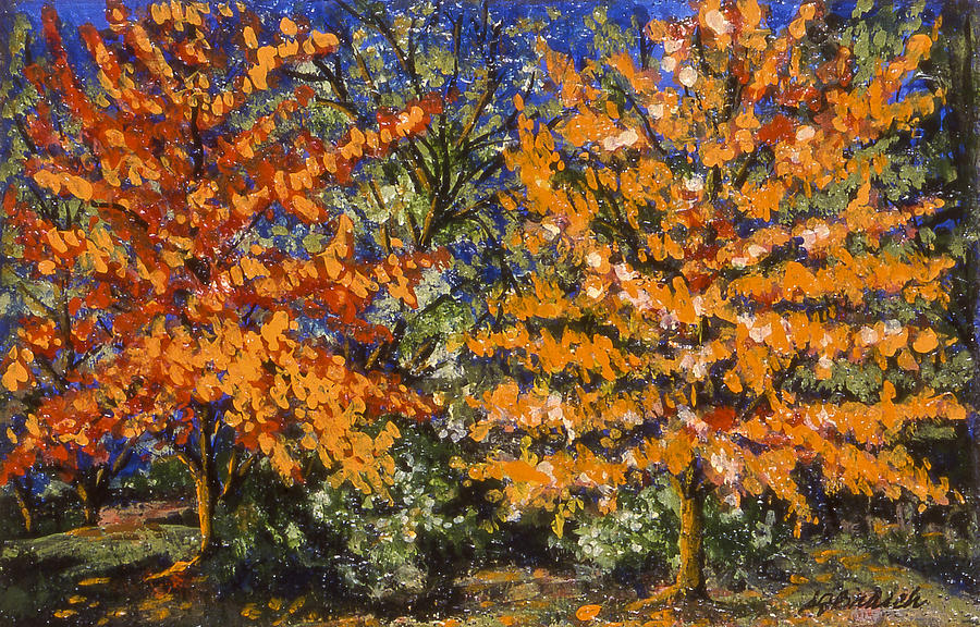 Fall Trees Painting by Susan Brasch - Fine Art America