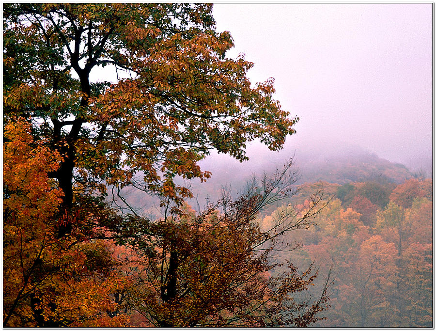 Fall Vista Photograph by Howard Wolowitz - Fine Art America