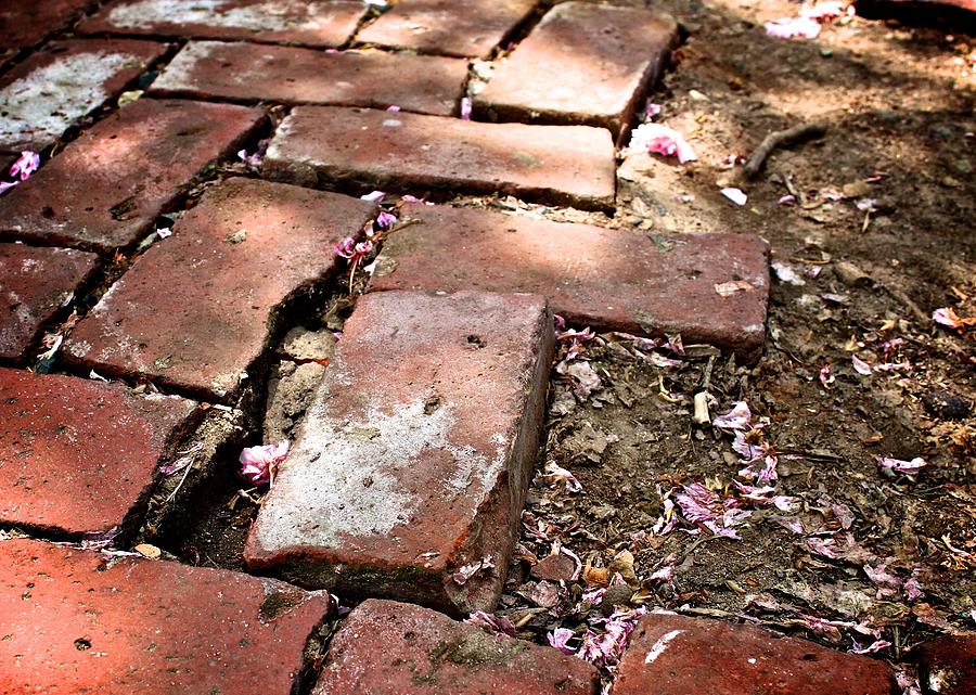 Fallen Bricks Photograph by Elizabeth Marks - Pixels