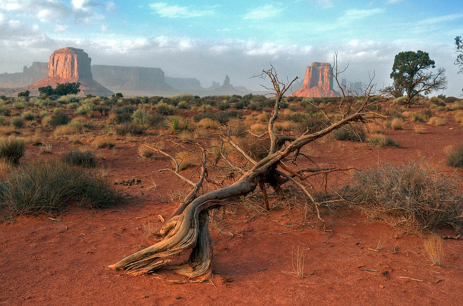 Fallen Warrior Photograph by Michael Biggs - Fine Art America