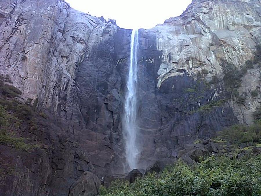 Falling Ecosystem Photograph by Todd Hogan - Fine Art America