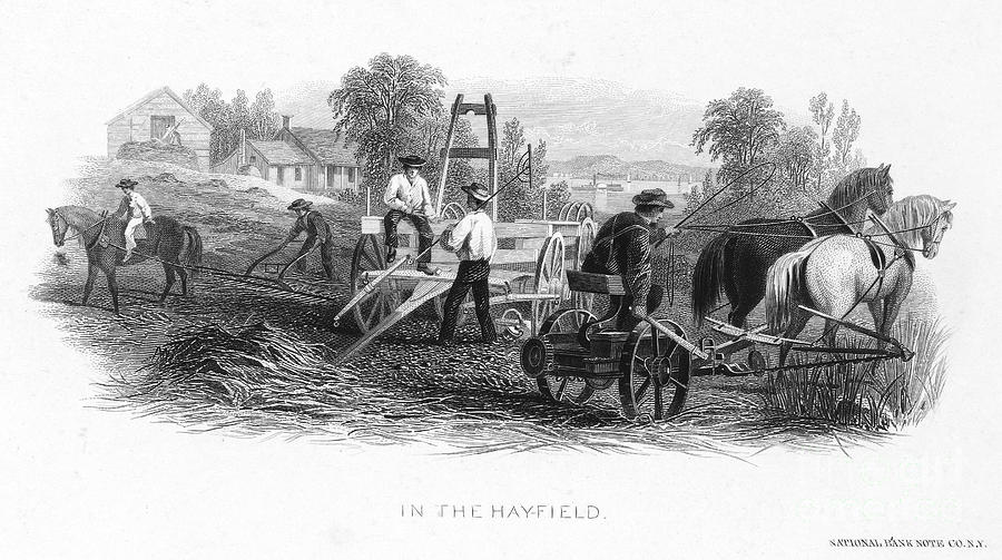 FARMING, c1870 Photograph by Granger - Fine Art America