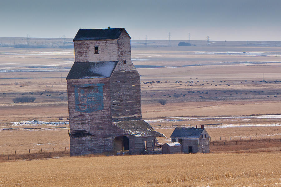 Farrow Alberta Photograph by Jill Lalande - Fine Art America