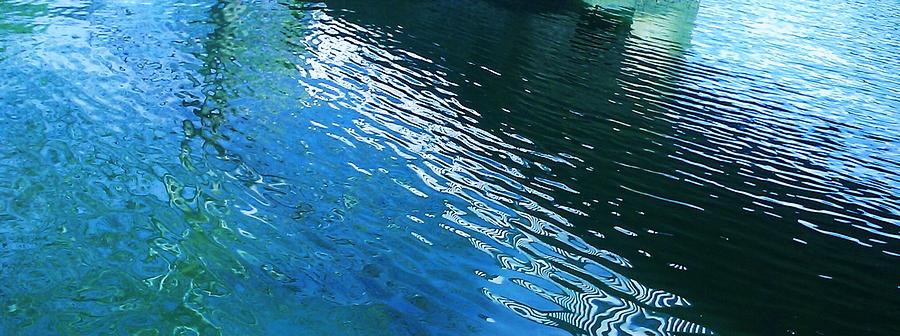 Feeling Blue Photograph by Bryan Wulf - Fine Art America
