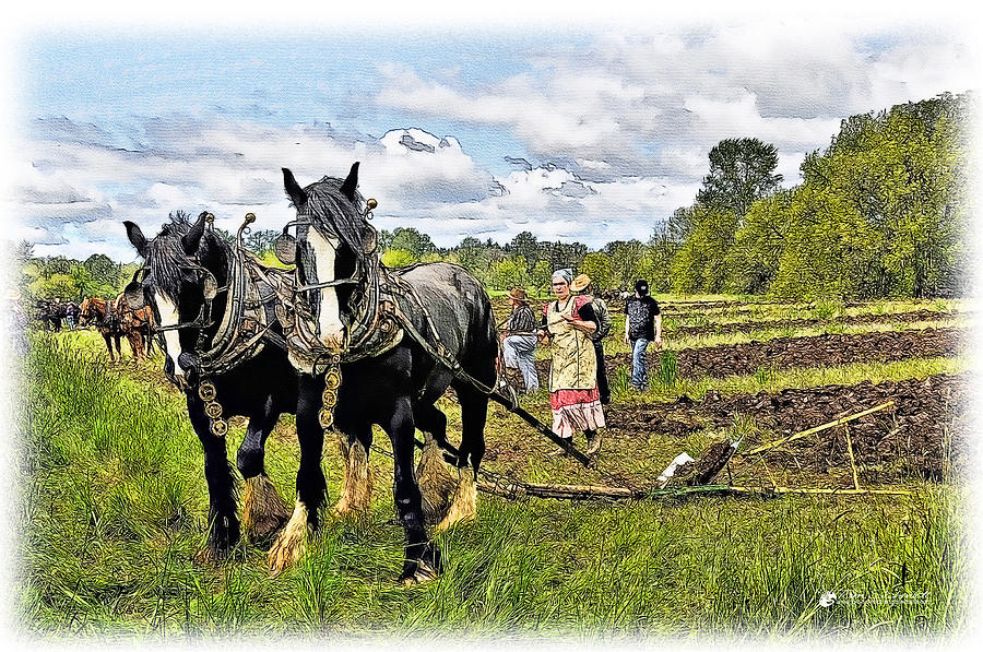 Field Work Painting by Tom Schmidt - Fine Art America
