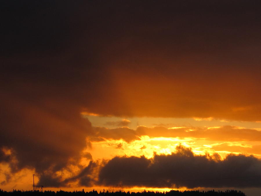 Fiery Sky Photograph by Sandra Rohmann - Fine Art America