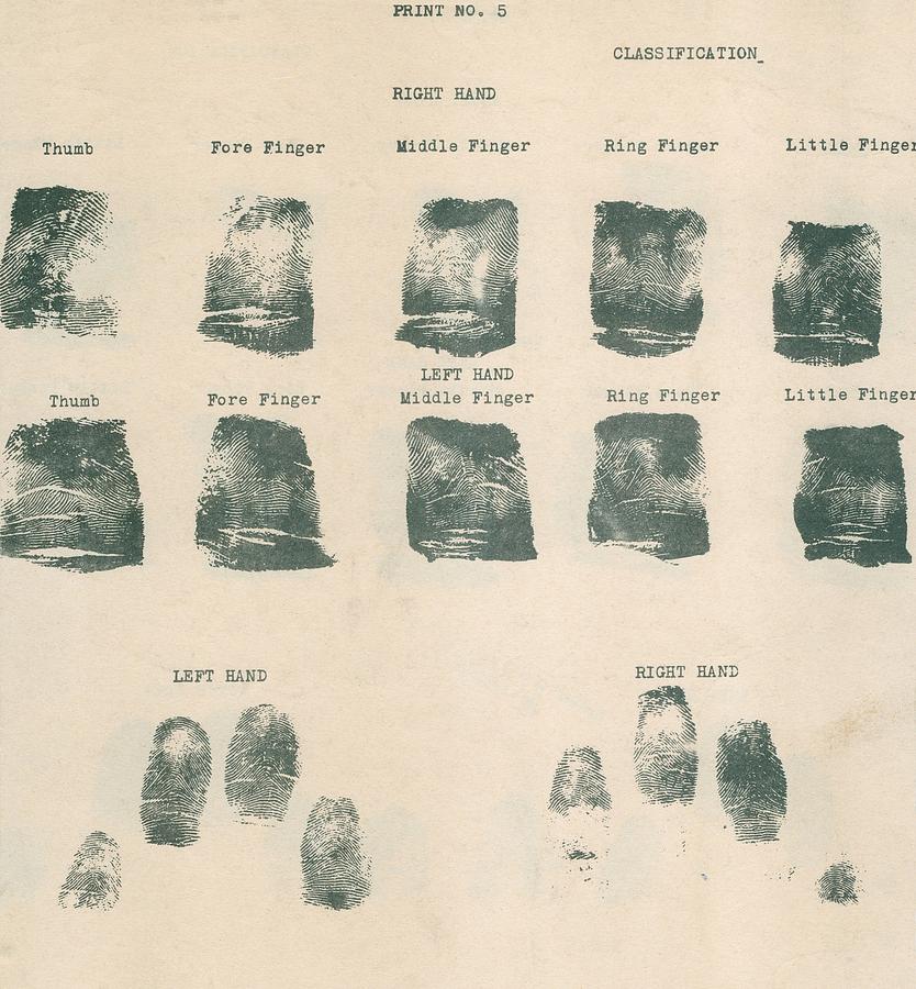 Fingerprint Record Sheet by Everett