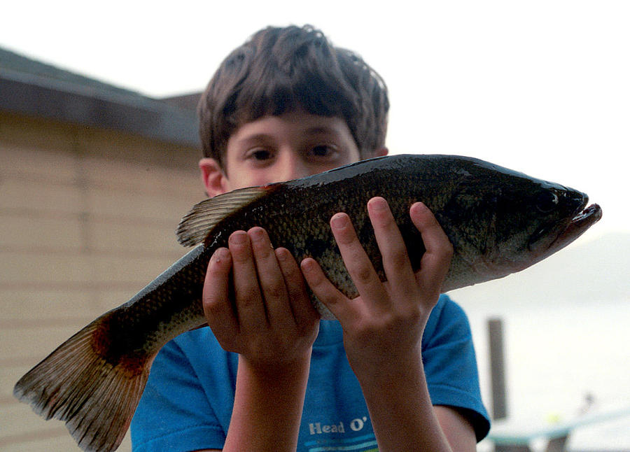 First Fish Photograph by Howard Wolowitz - Pixels