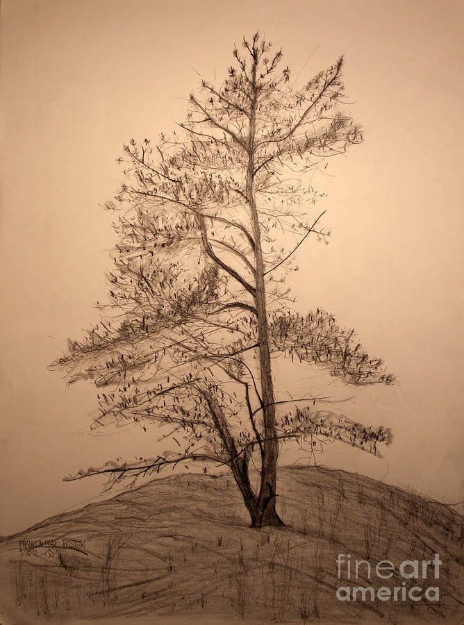 First Focus Drawing By Takao Shinzawa Fine Art America