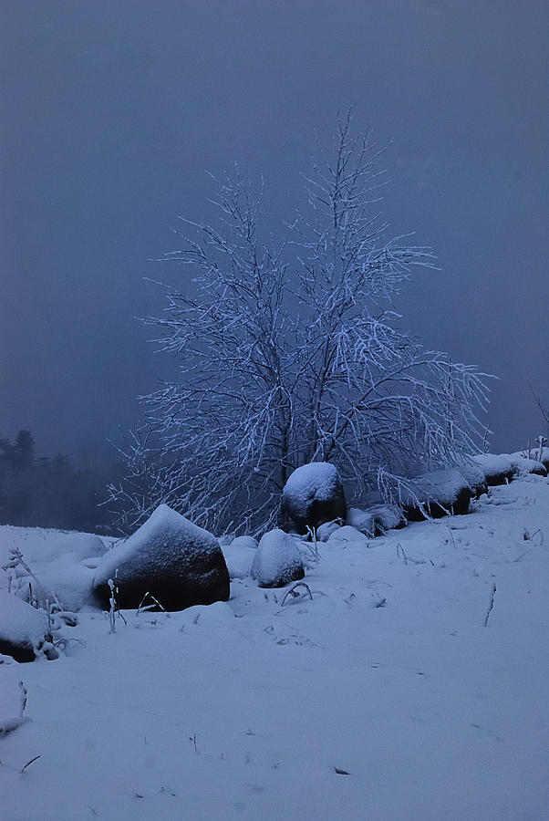 First Snow at First Light Photograph by Sue Capuano - Fine Art America