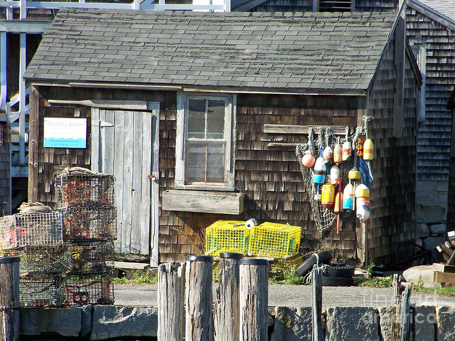 Fish Shack Photograph by Carolyn Baumgart - Fine Art America
