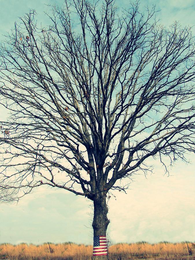 Flag Tree Photograph by Kandi Grisham - Fine Art America