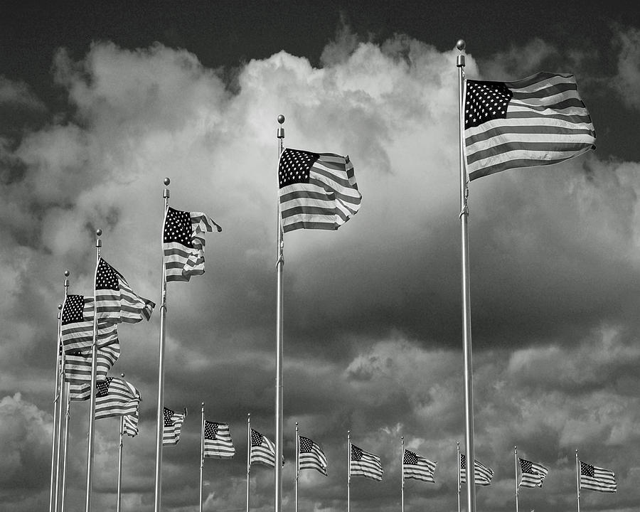 Flags Unfurled Photograph by Laura Paton - Fine Art America
