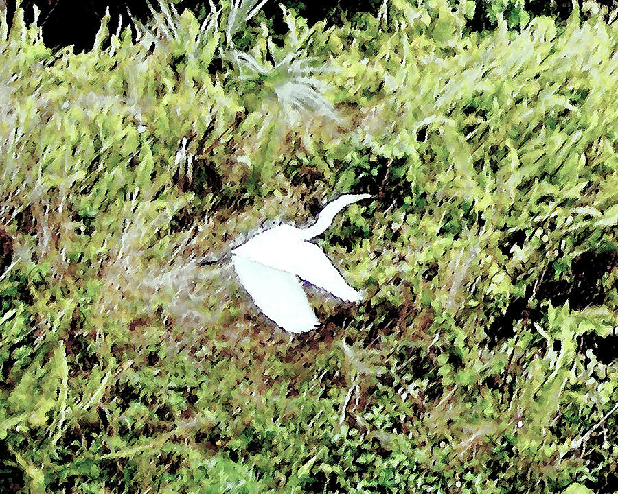 Flight Plan Photograph by Jeff Keay - Fine Art America