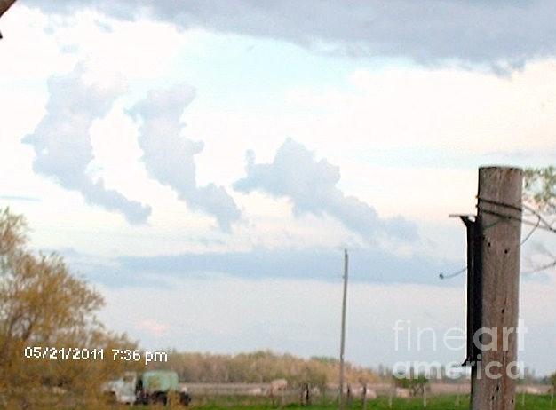 Floating Faces Photograph by Leah Cunningham - Pixels