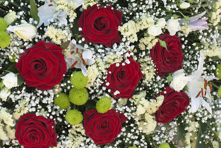 Floral composition Photograph by Igor Sinitsyn - Fine Art America