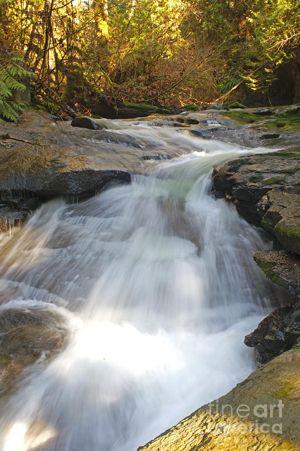 Flowing Fall Waters Photograph by Randy Harris - Fine Art America