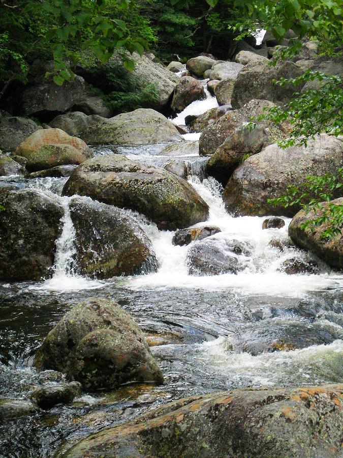Flowing Stream Photograph by RJ Carbonell | Fine Art America