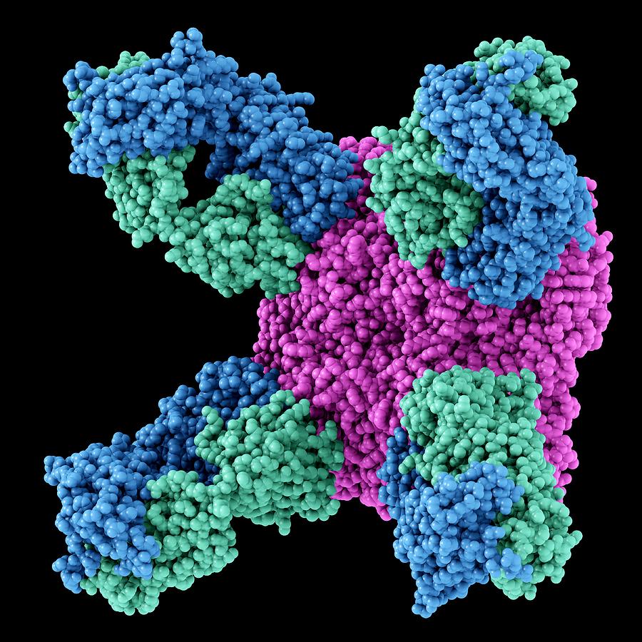 Flu Virus Surface Protein And Antibody Photograph by Laguna Design ...