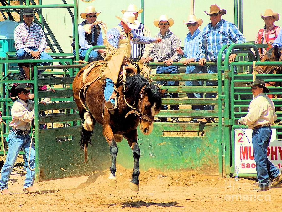 Flying High Photograph by Cheryl Poland - Fine Art America