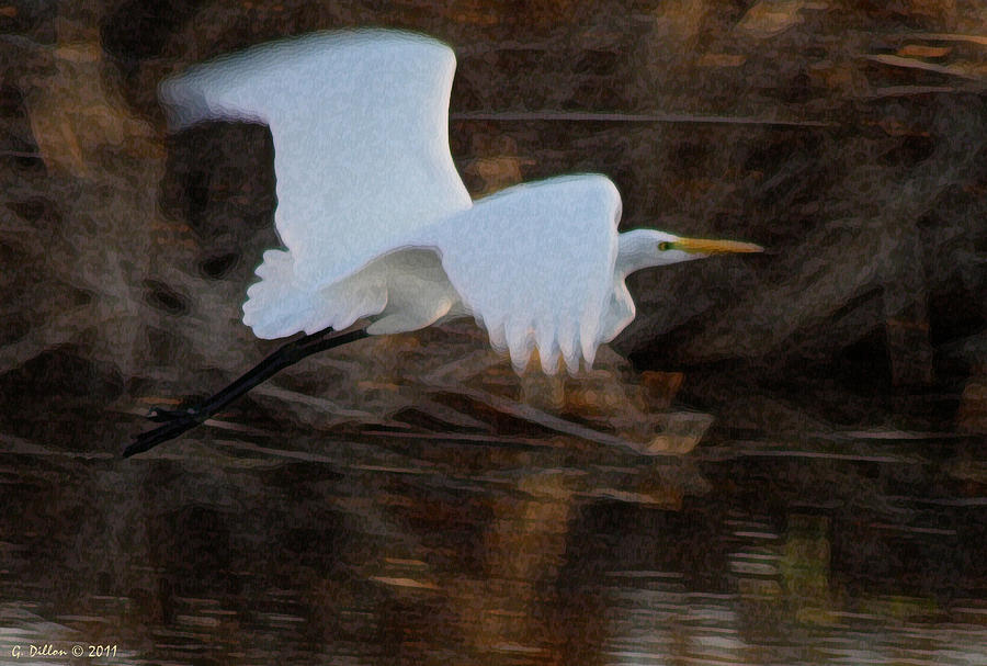Flying Low Digital Art by Grace Dillon - Fine Art America
