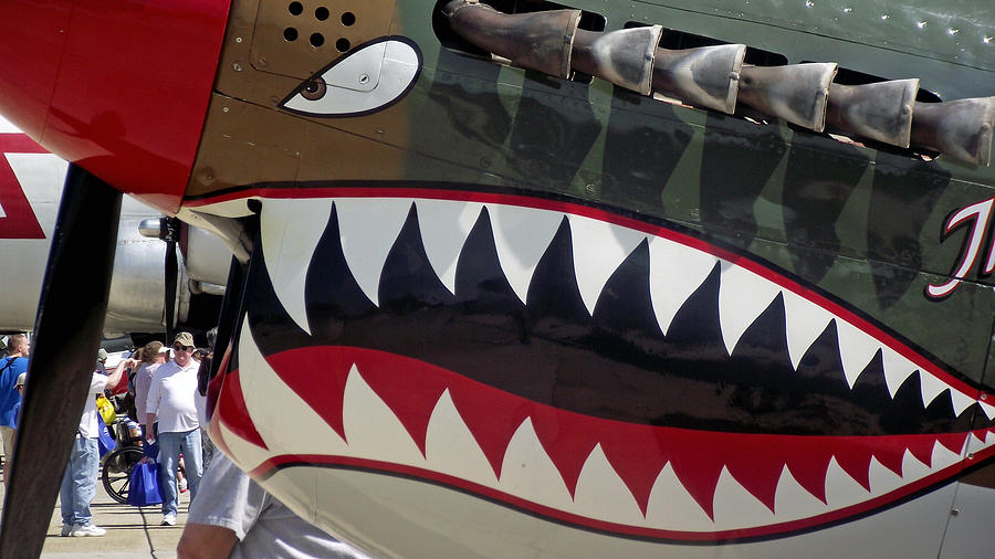 Flying Tiger Photograph by Stephen Ogle - Fine Art America