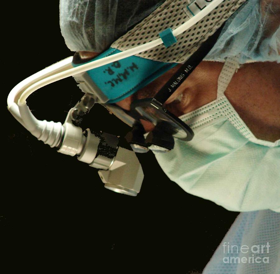 Focused Photograph by David Carter - Fine Art America