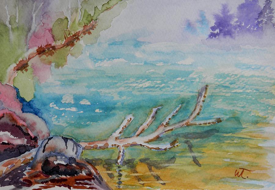 Fog and Reflection Duality Painting by Warren Thompson - Fine Art America