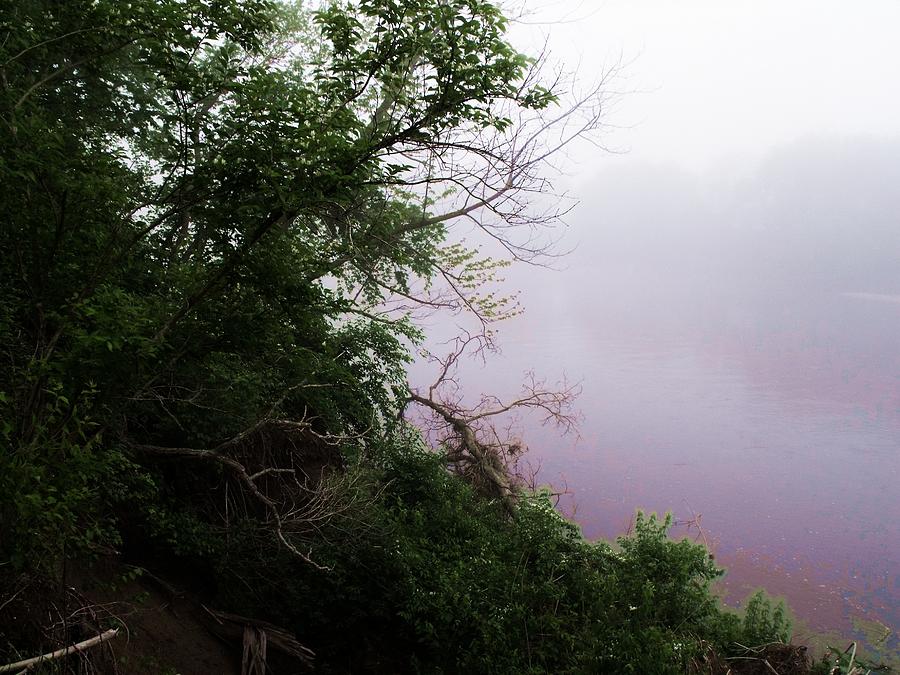 Fog Density Photograph by Elizabeth Simpson | Pixels