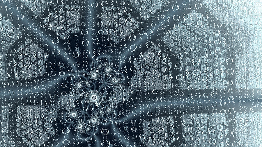 Fractal Spider Digital Art by Doug Wolfson | Fine Art America