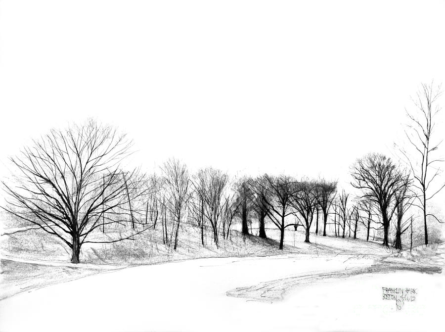 Franklin Park Iii Drawing By Takao Shinzawa Fine Art America
