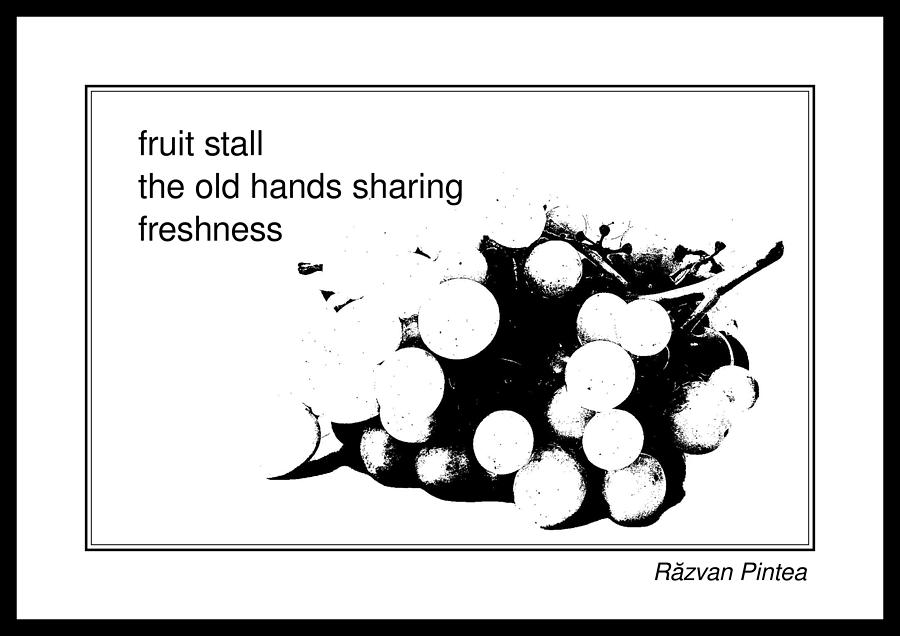 Freshness Photograph by Razvan Pintea - Fine Art America