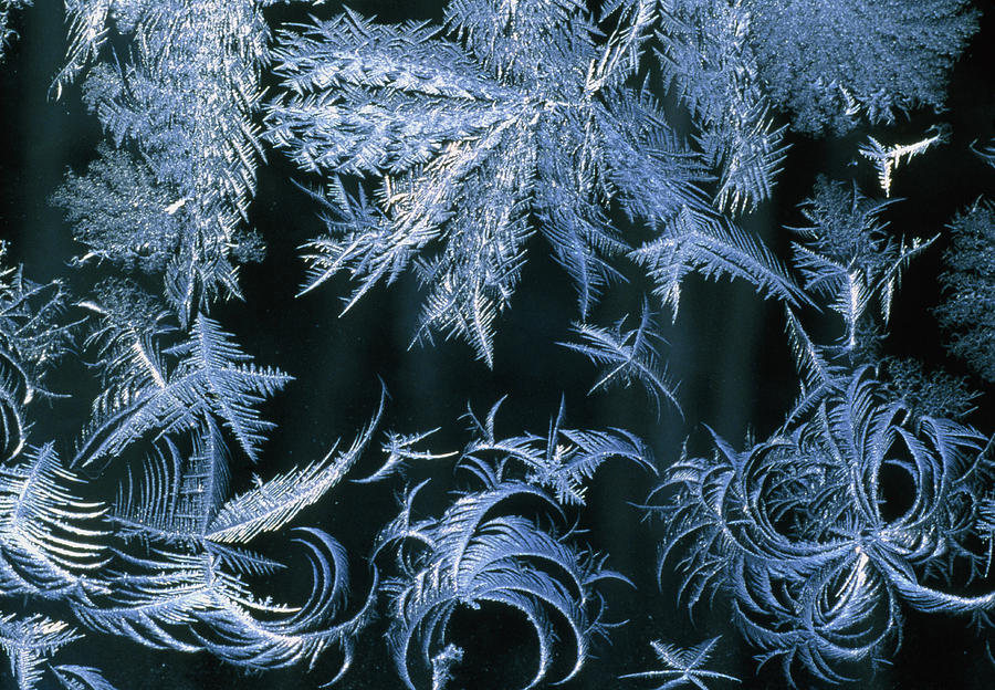 Frost Patterns Photograph by Alan Sirulnikoff - Fine Art America