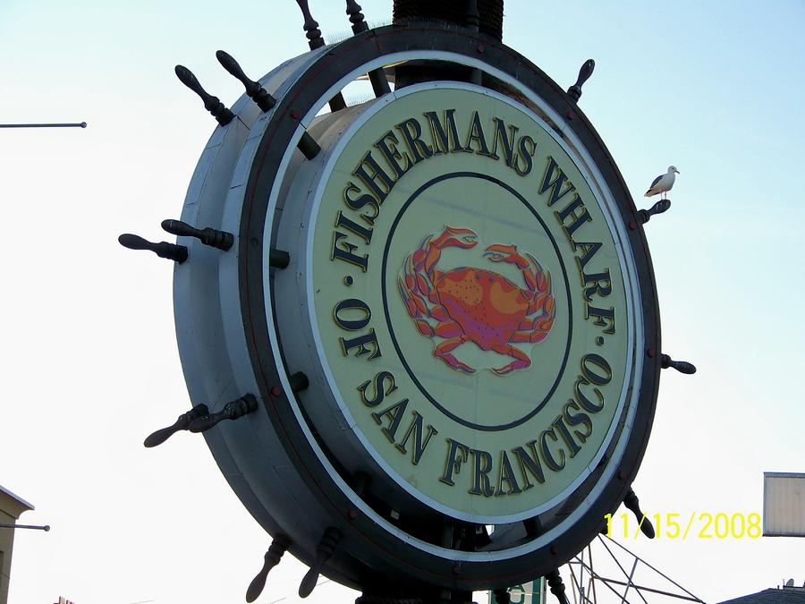 Fwsf Digital Art by Paul Baker - Fine Art America