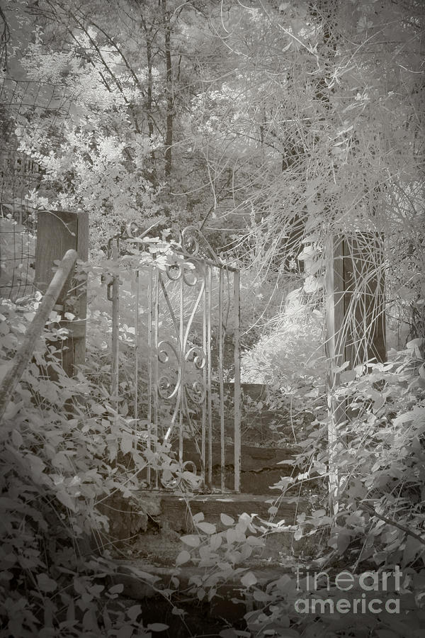 Gate Photograph by James Lee | Fine Art America