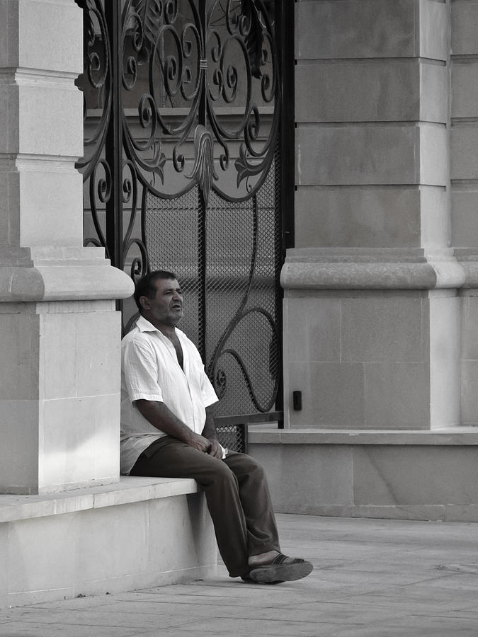 Gate Keeper Photograph by Chris Beveridge - Fine Art America