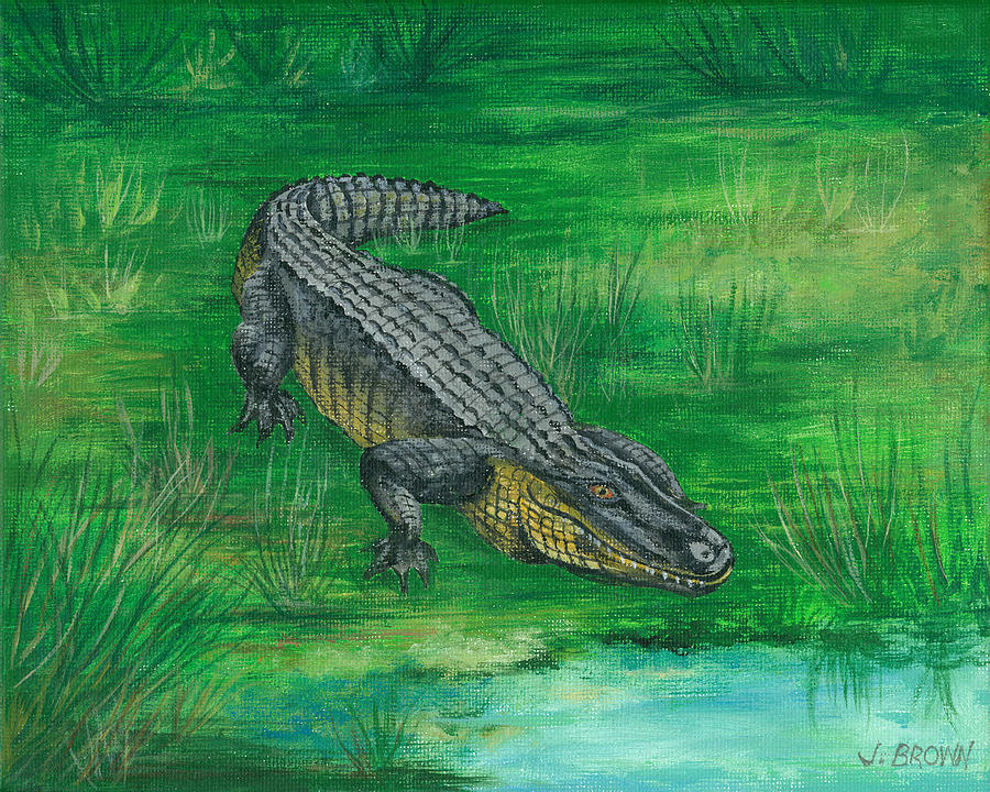 Gator Painting by John Brown - Fine Art America