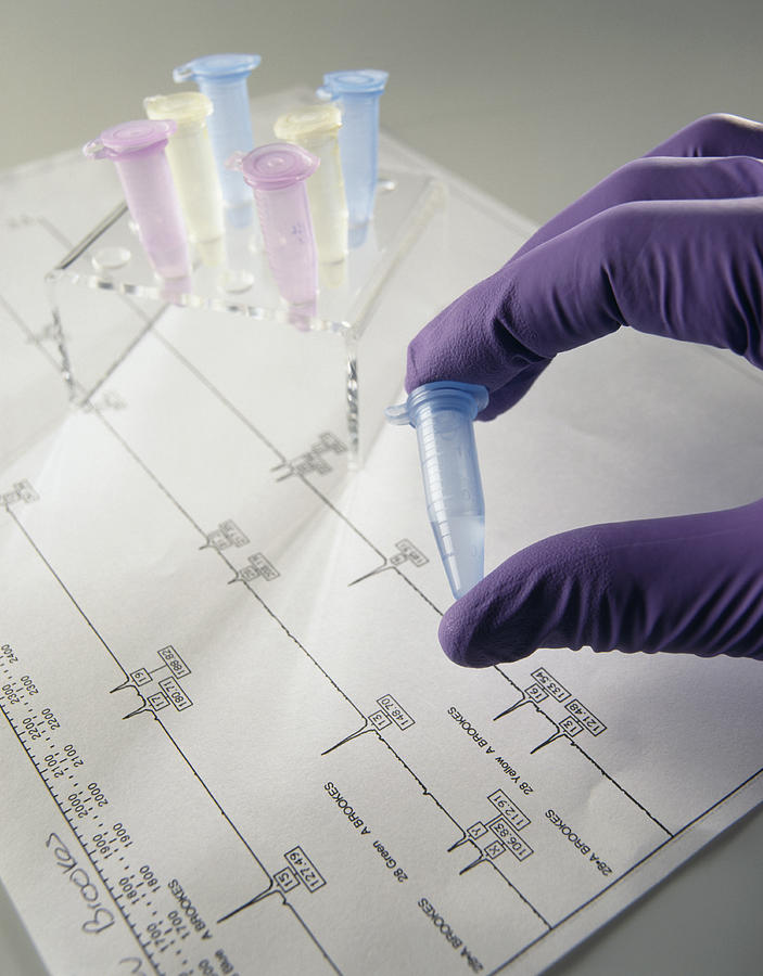 Genetic Analysis Photograph by Tek Image - Fine Art America