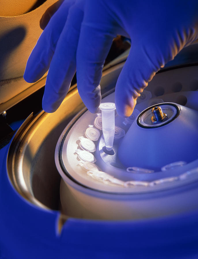 Gloved Hand Loading A Sample Into A Centr by Science Photo Library