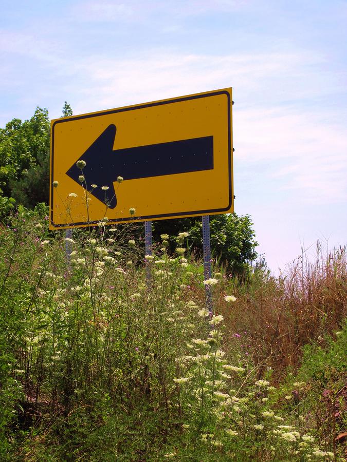Go Left Photograph by Michele Nelson | Fine Art America