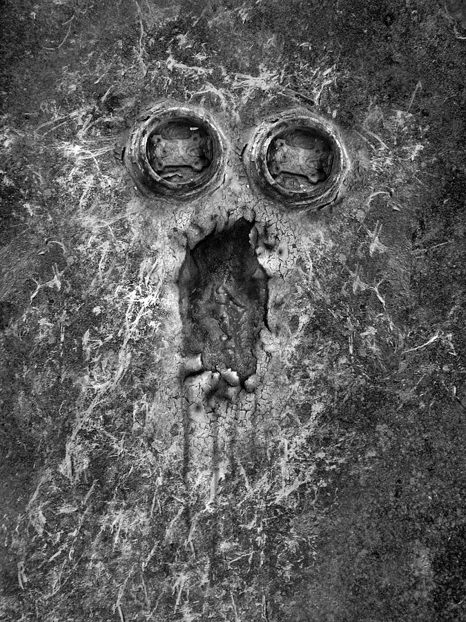 Goggle Ghost Photograph by Baron Dixon - Fine Art America