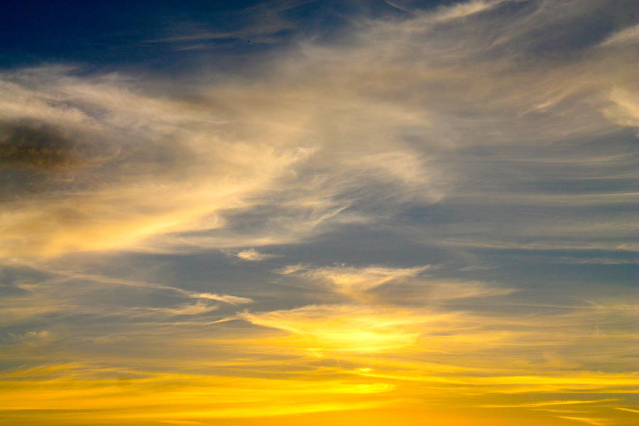 Golden Rays Photograph by Alexander Martinez - Fine Art America