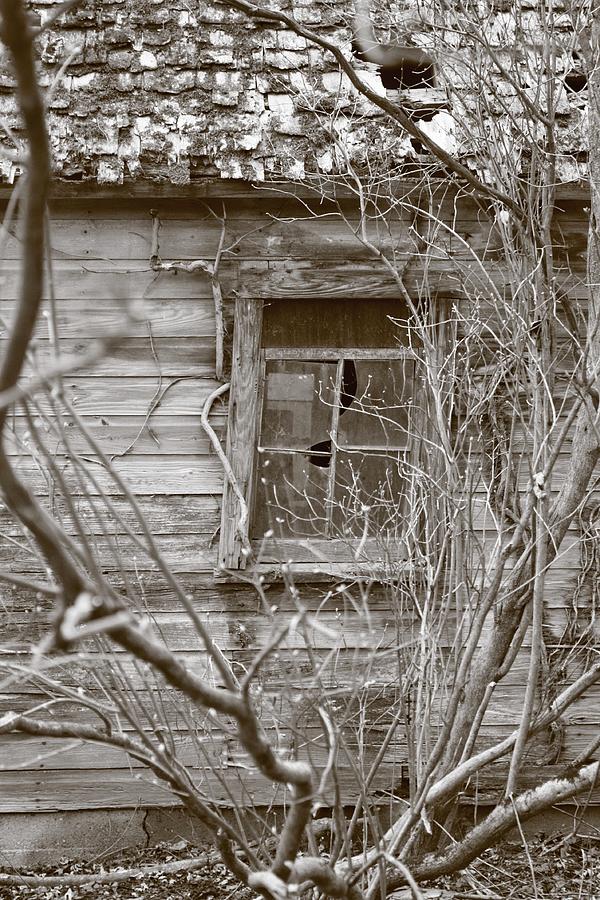 Gone Photograph by David Milliner - Fine Art America