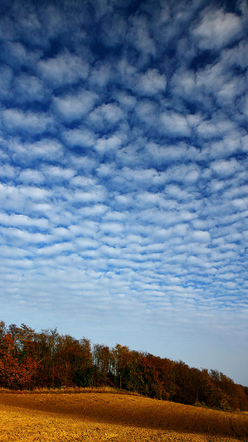 Gradient clouds Photograph by Janos Vajda - Fine Art America